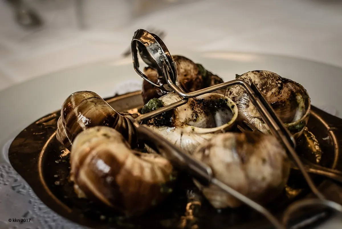 Paris Regional Specialties: Taste the Best Dishes