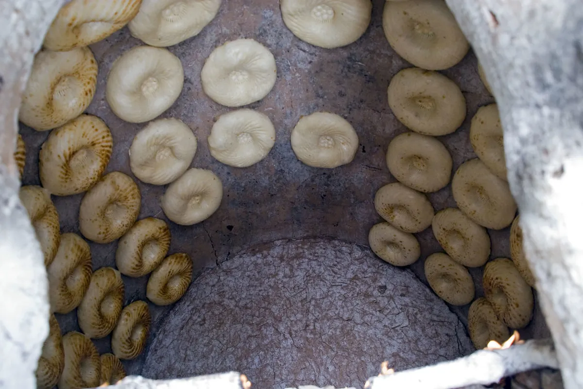 Tashkent Street Food: A Guide to Local Delights