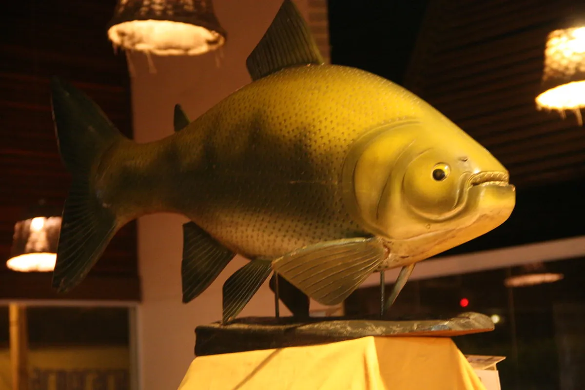 Manaus Cuisines: Exploring Local Flavors and Dishes